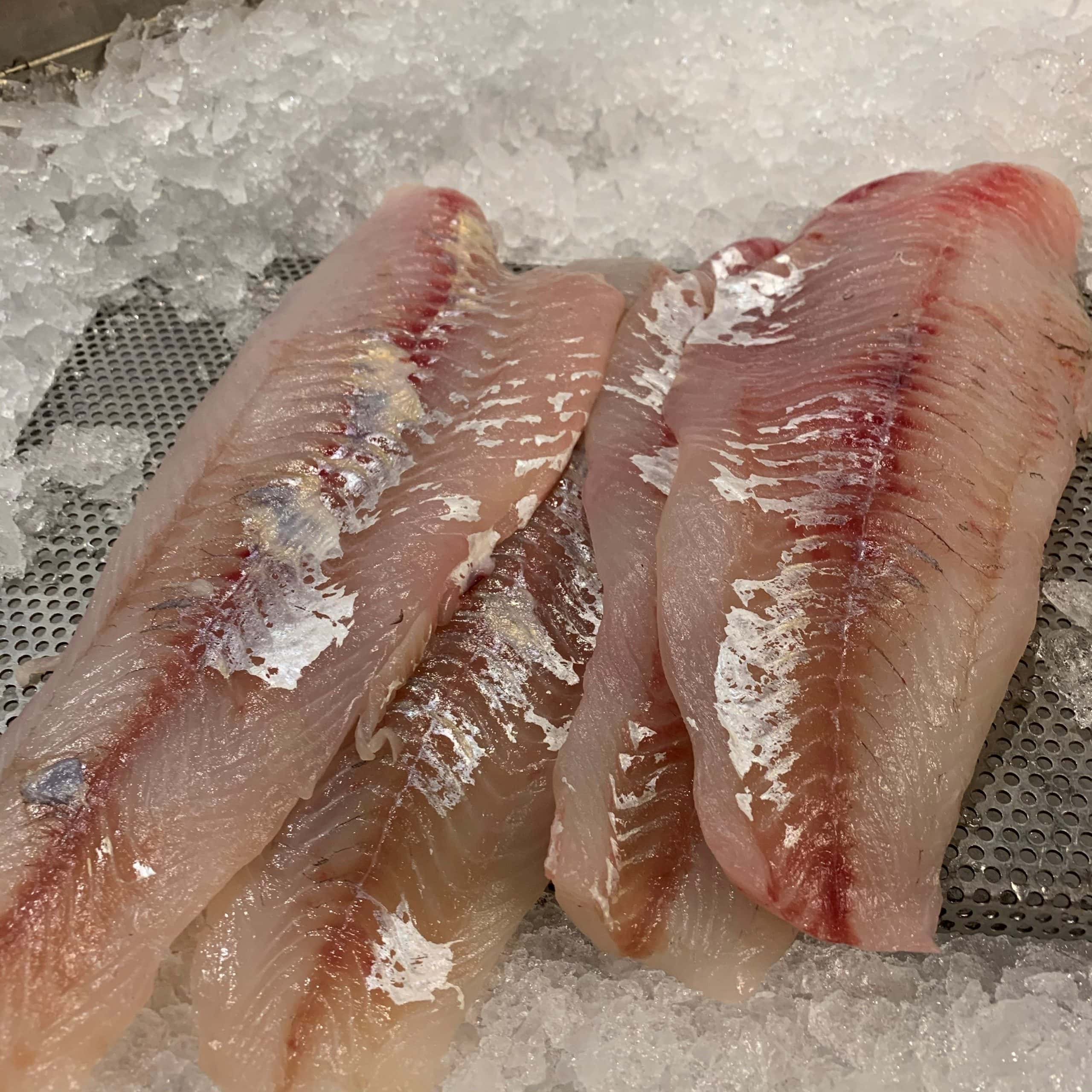 Färsk Sejfilé | Feskarn / Slaktarn i Uppsala